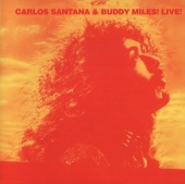 Buddy Miles Them Changes Album