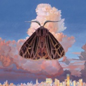 Chairlift - Something Album Reviews, Songs & More | AllMusic