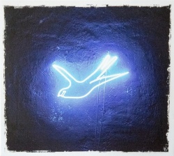 Neon Blue Bird - Ollabelle | Songs, Reviews, Credits | AllMusic