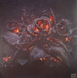 Future - Evol Album Reviews, Songs & More | AllMusic