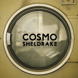 Cosmo Sheldrake - The Moss Album Reviews, Songs & More | AllMusic