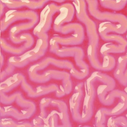 Pink Guts - Electric Machine Gun Tits | Releases | AllMusic