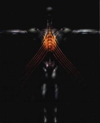 Salival [CD/VHS] - Tool | Release Info | AllMusic