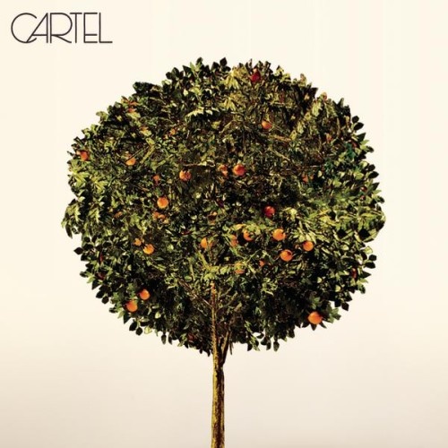 Cartel - Cartel, Cartel | Songs, Reviews, Credits | AllMusic