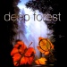 Deep Forest - Boheme Album Reviews, Songs & More | AllMusic
