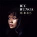 Bic Runga - Birds Album Reviews, Songs & More | AllMusic